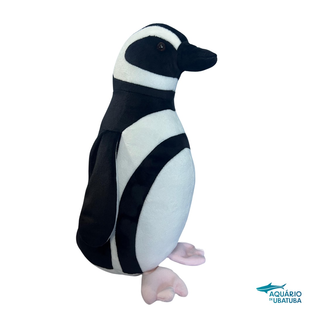 Pinguim Maui - Aqualoja - Aquário de Ubatuba